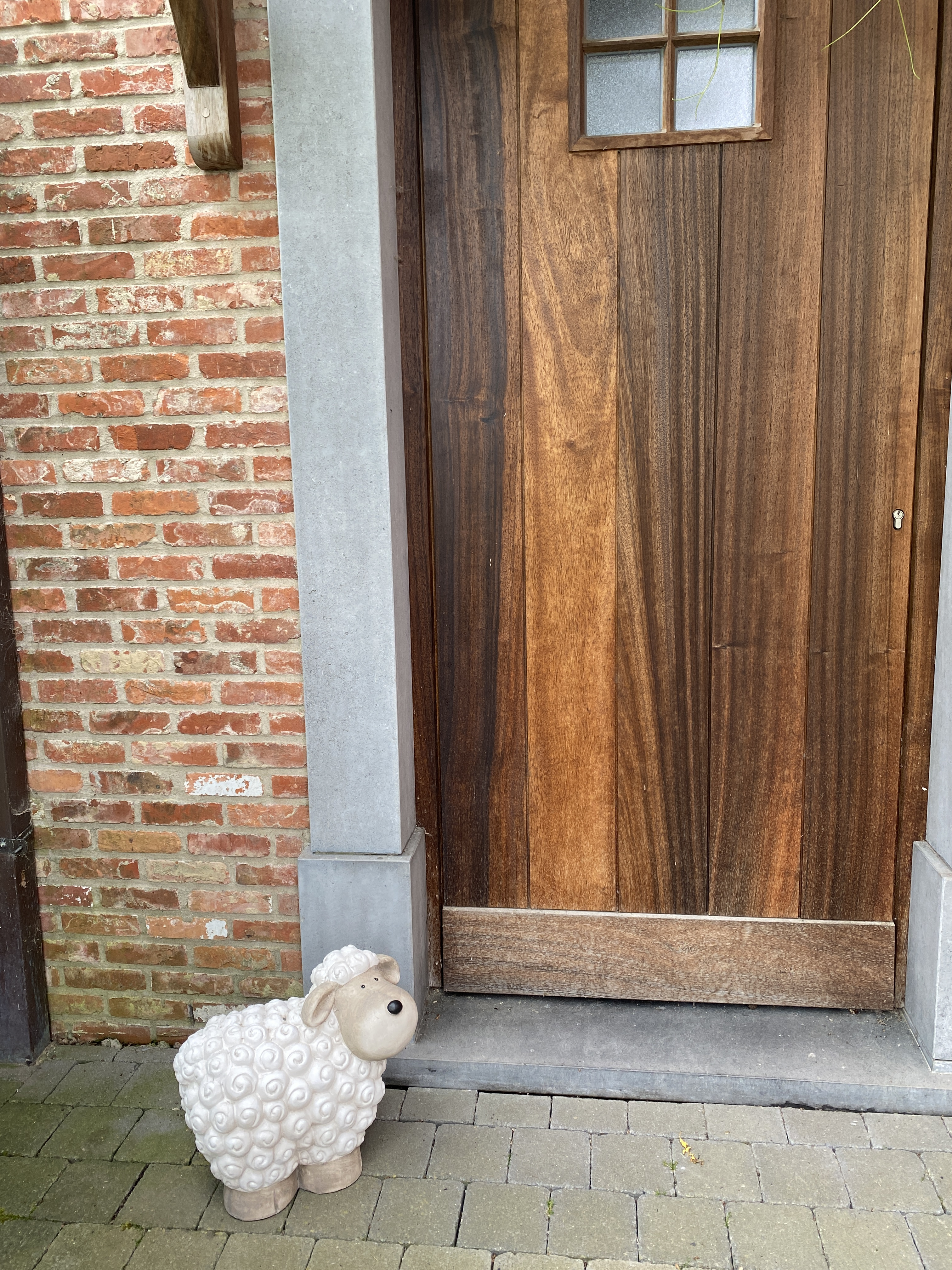 Schaap tuinbeeld kopen? LIVING-shop